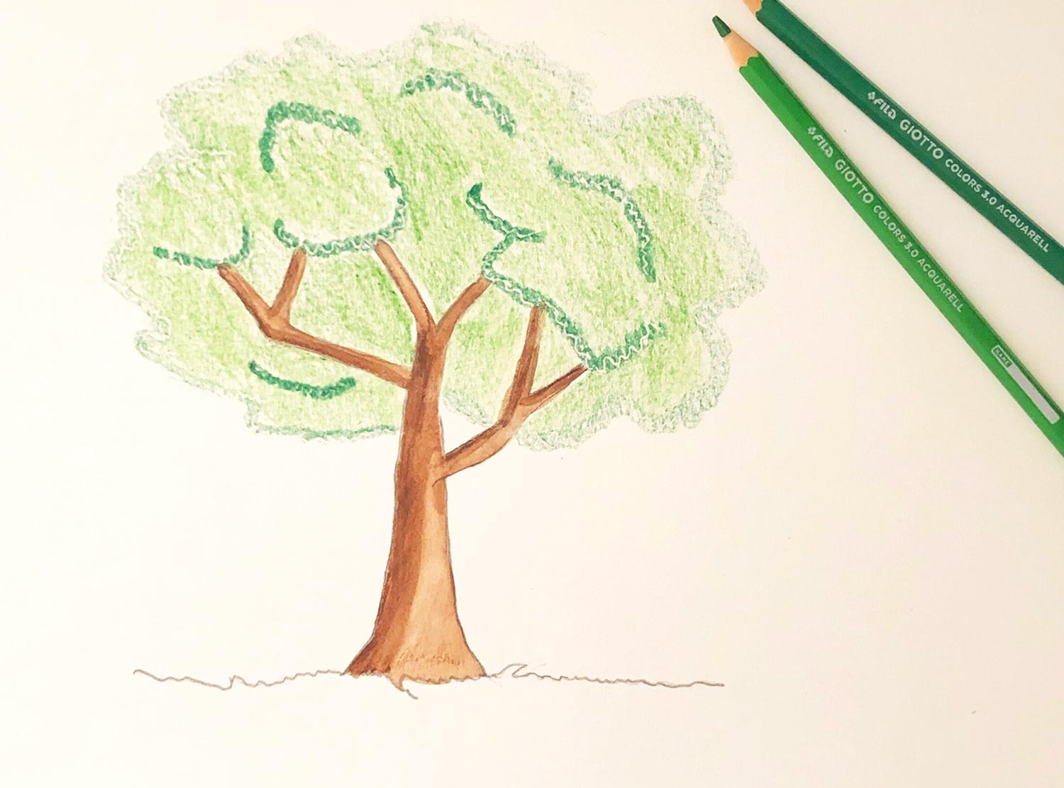 Dessiner un arbre | Canson®