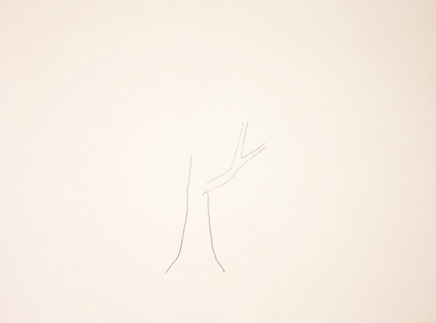 Dessiner un arbre | Canson®