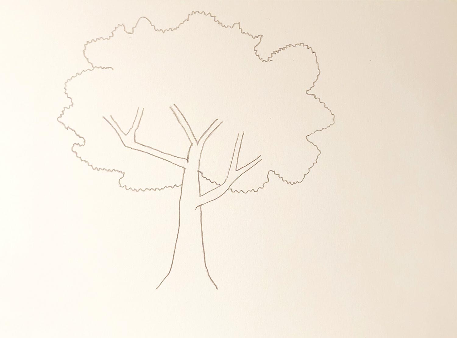 Dessiner un arbre | Canson®