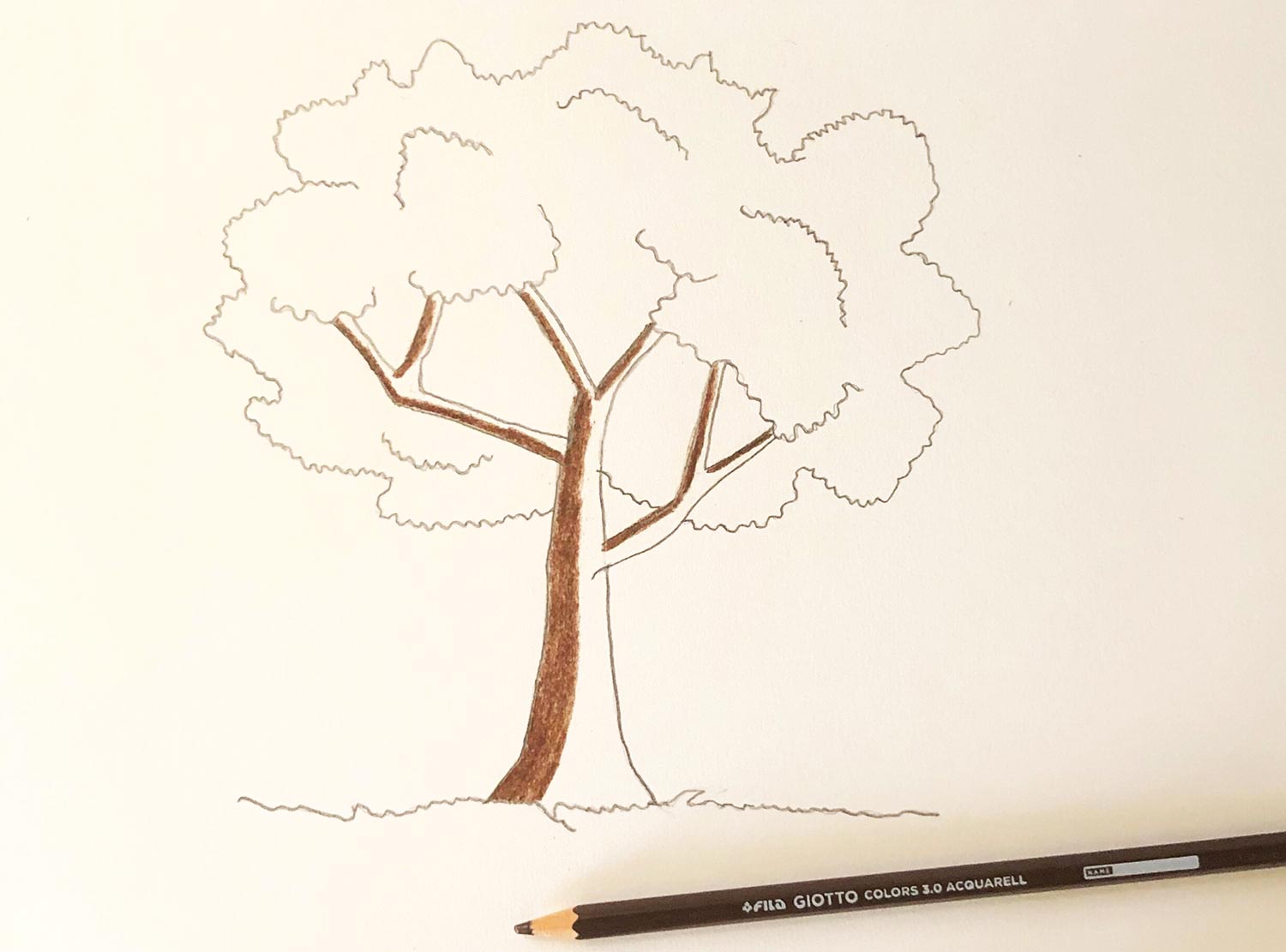 Dessiner un arbre | Canson®