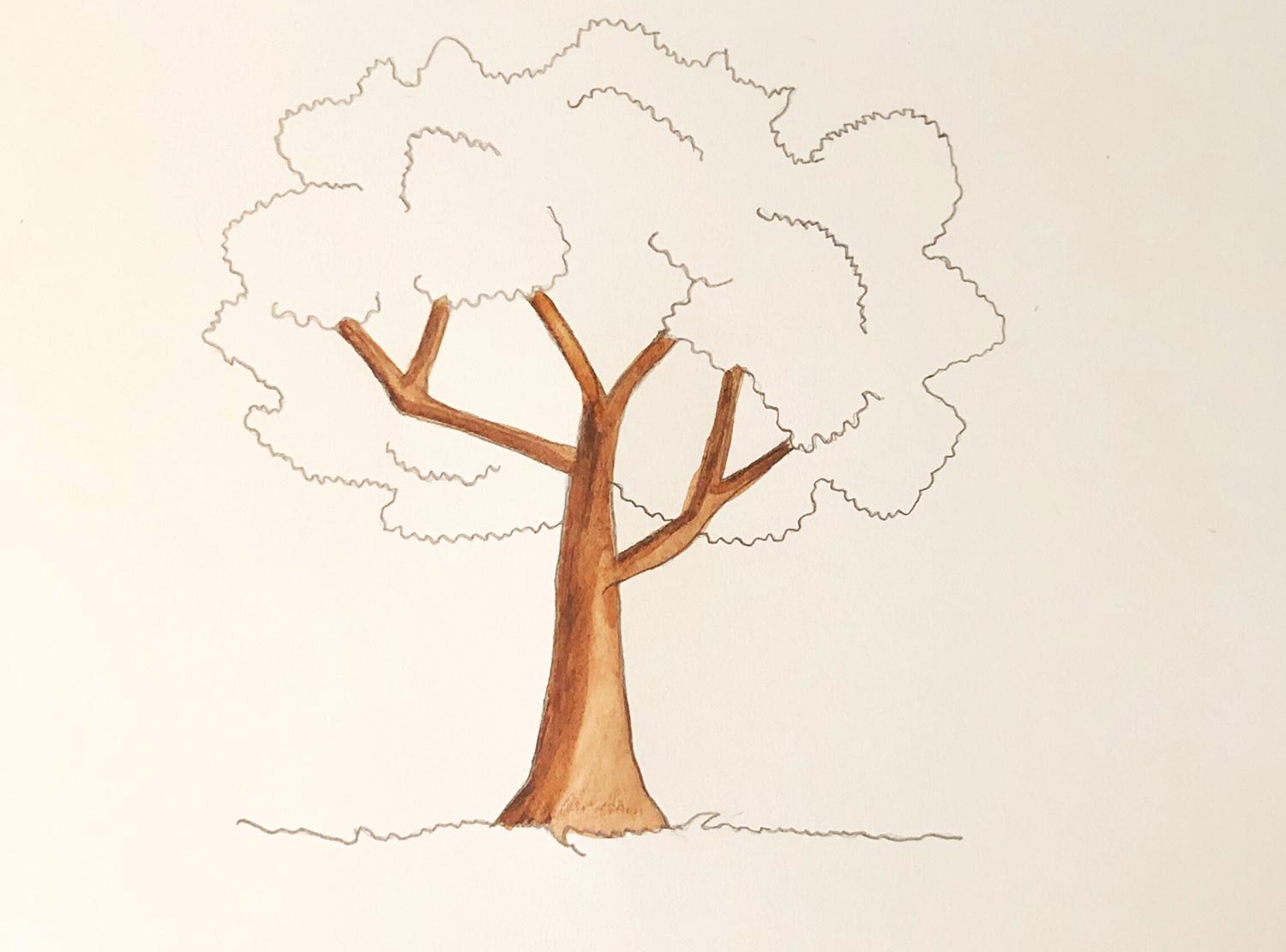 Dessiner un arbre | Canson®
