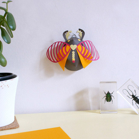 Réaliser un insecte 3D en papier | Canson®