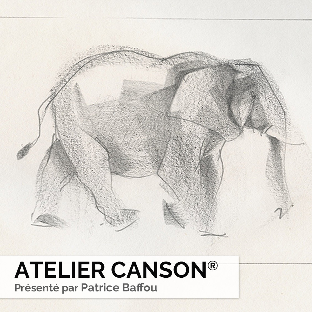 Dessiner un éléphant sur Canson® Colorline® | Canson®